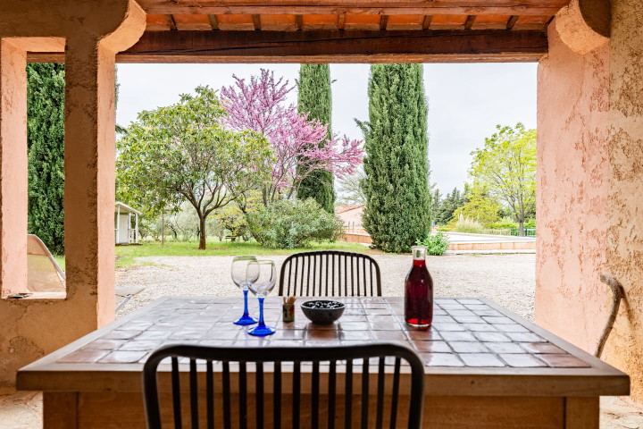 The Ribias Olive Grove - Var