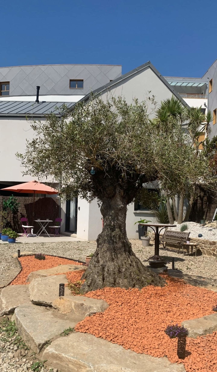 Cozy Studio Close To The Sea - Roscoff
