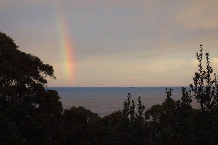 Kali Cottage Between The Sea And The Ridge - Austinmer