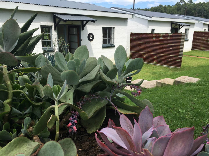 The Cottages - The Old Mushroom Farm - Howick