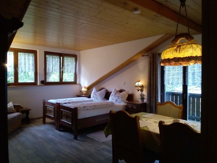 Feldberg Appartement In Schwarzwald Villa Titisee - Titisee-Neustadt