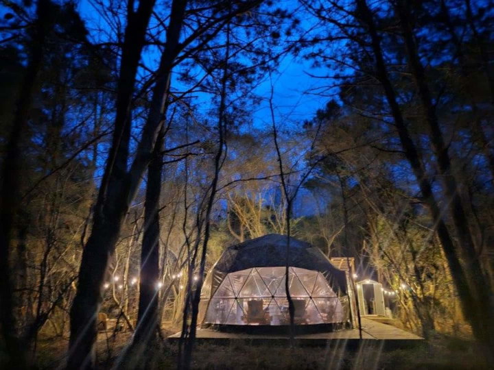Dome Sweet Dome - North Carolina
