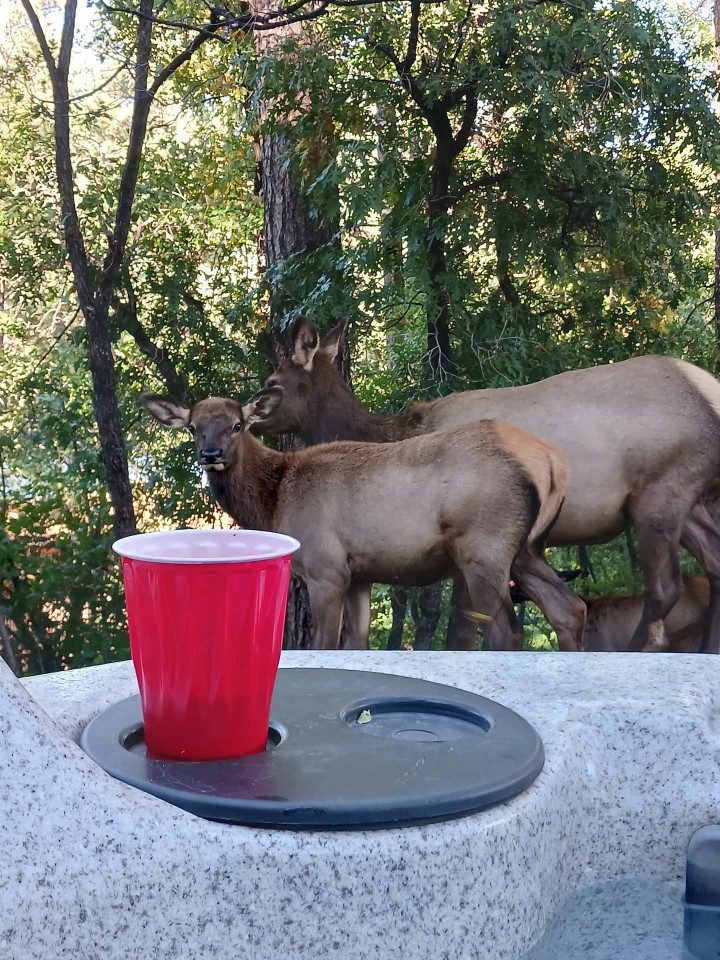 Reed's Place Mid-town On River! - Optional Hot Tub - Ruidoso, NM