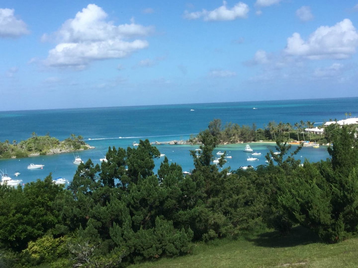 Little Palms - Charming One Bedroom - Bermuda