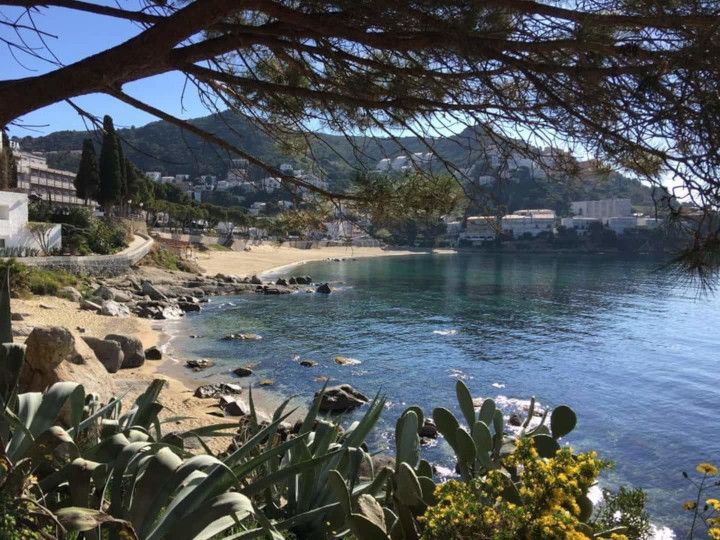 Maena Eva - 50 M From Canyelles - Cadaqués