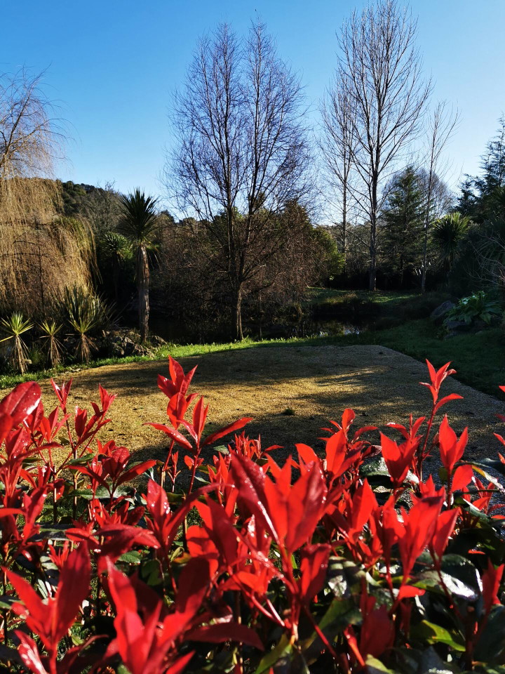 Delightful Secluded Caravan Site By The Pond - Tākaka