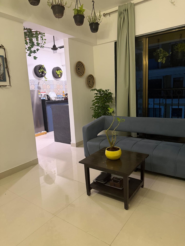 Cloud Forest - Comfort Cartel - Karjat