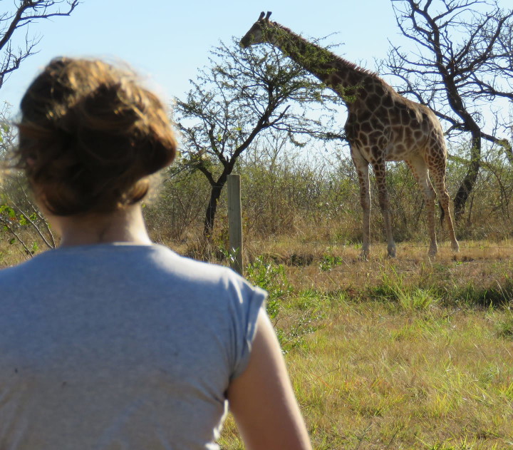 Dombeya Game Reserve's Stunning 2 Bedroom Lodge - Swaziland/ Eswatini
