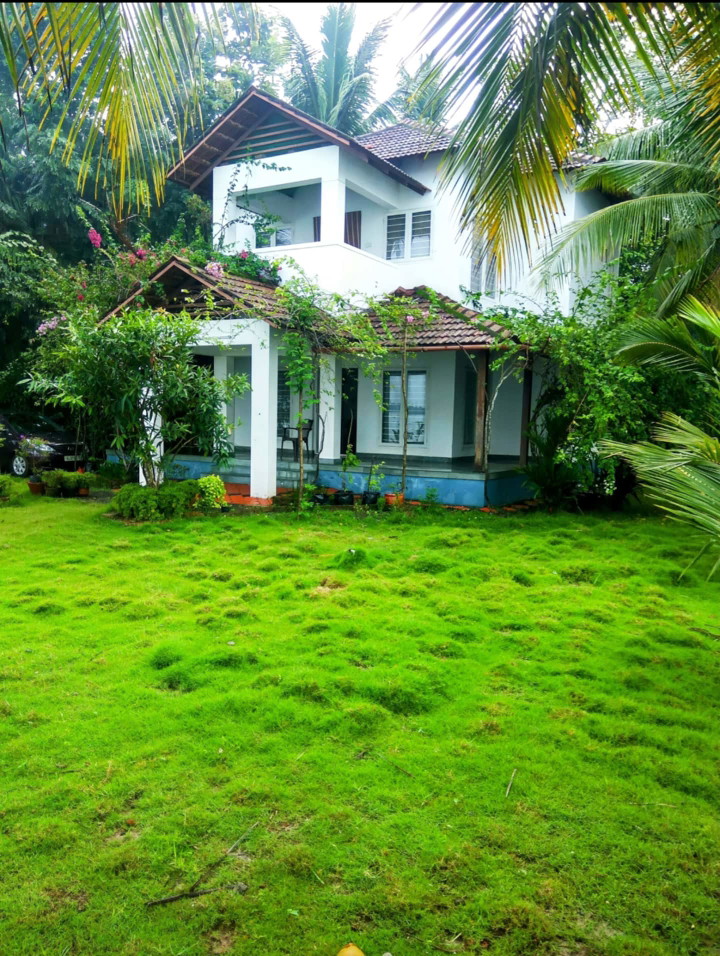 Terns' Nest - Kochi
