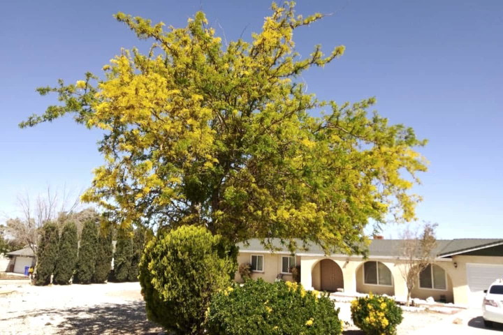 New Listing! Entire Home / Outdoor Enthusiast - Apple Valley, CA