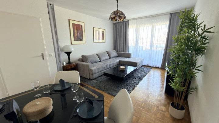 Bright And Spacious Apartment With Great Views - Geneva