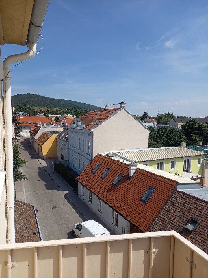 Schöner Blick Gemütlich Zentral - Baden bei Wien
