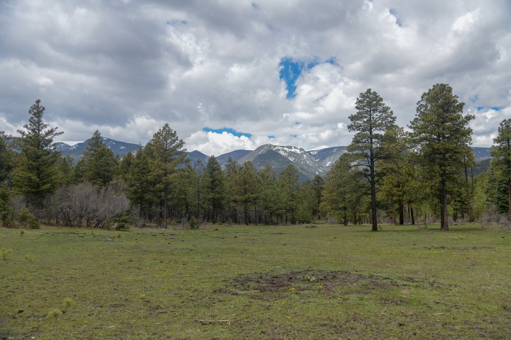 Comfort In The Woods Los Vallecitos Llc - New Mexico