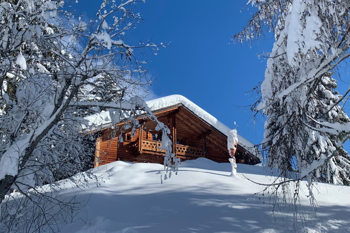 Les Diablerets - Chalet En Lisière De Forêt - Les Diablerets