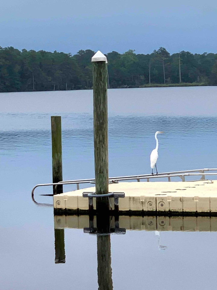 Down By The Bay Cozy 2 Bedroom Near Park - Jacksonville, NC