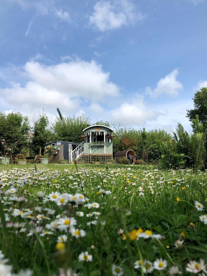 The Bee's Wing Shepherds Hut - Bodmin