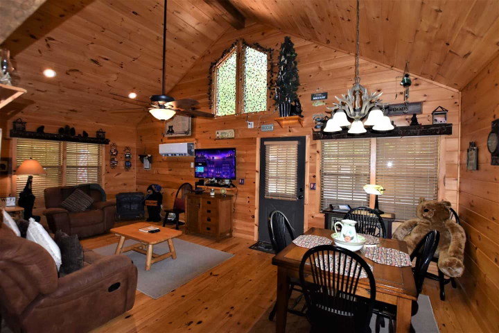 A Bearable Cabin - Sautee Nacoochee, GA