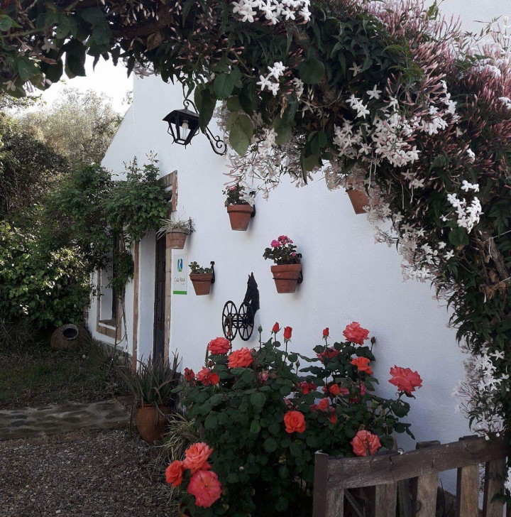 Casa Rural La Piña - Cazalla de la Sierra