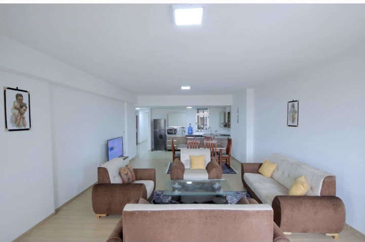 Modern & New Bole Airport Apartment - Addis Ababa