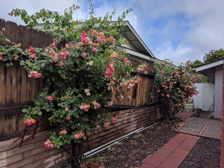 Beautiful Remodeled Home - Goleta, CA