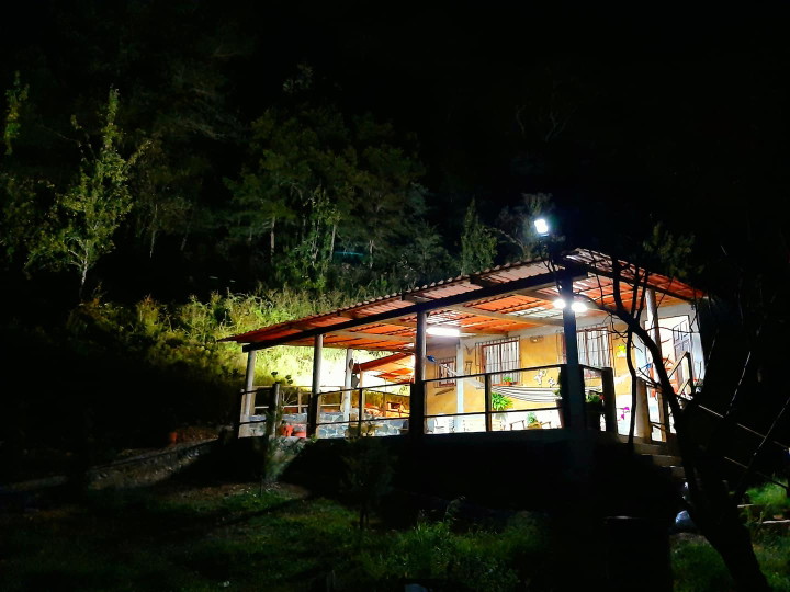 The Frog Corner - Querétaro