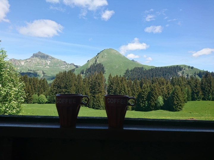 Charmant Studio à La Montagne-le-le Praz De Lys - Praz de Lys Sommand