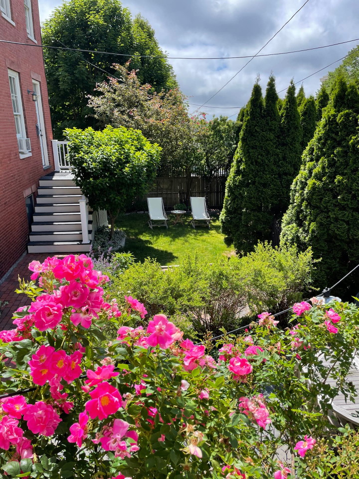 Sunny West End Apartment With Private Courtyard - South Portland, ME