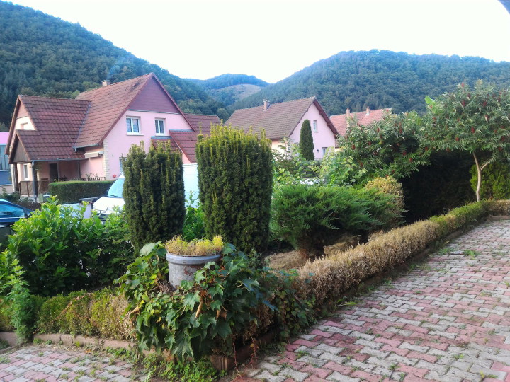 Alsass Online - Black Forest