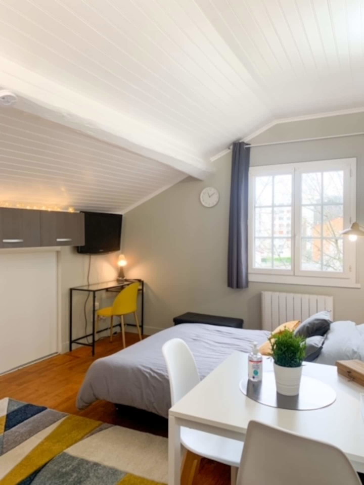 Charming Cozy Air-conditioned Studio Secur Parking - Lyon