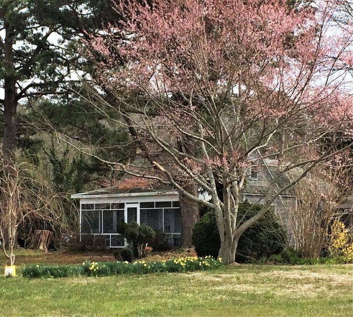 Charming Waterfront Home With Expansive Views - Chesapeake Bay