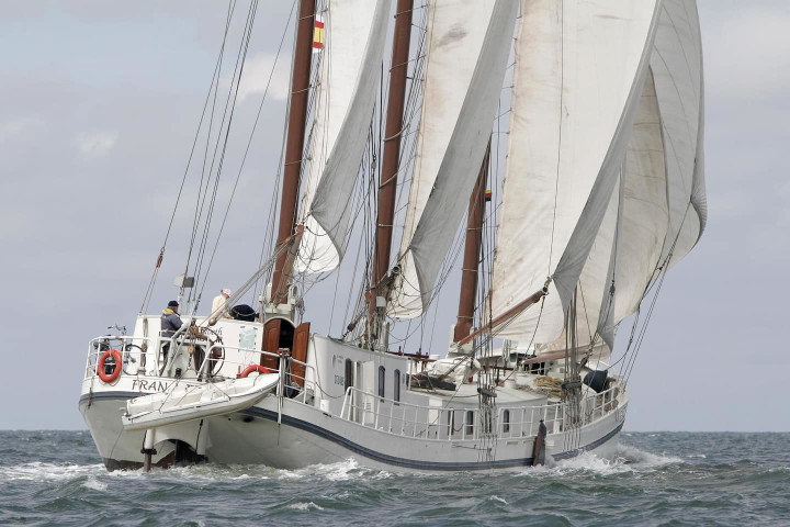 Enjoy Shipstays In Harlingen, Netherlands - Harlingen