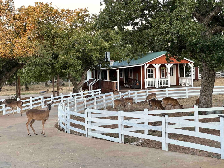 The Ranchito ~ Large Main Cabin ~Come See The Deer - Kingsland, TX