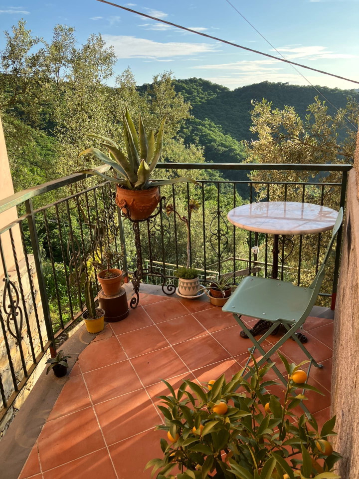 Quiet Open Space Among The Olive Trees "Ni ~Yang" - Bogliasco