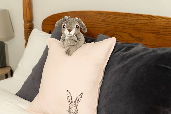 The Ugly Bunny Guest House | King Bed - Banff