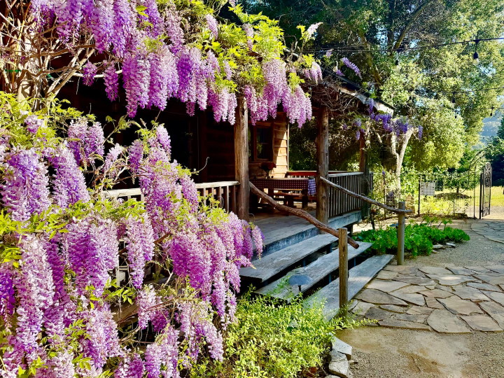 Private Creekside Cabin  Gated  Near Avila Beach - San Luis Obispo, CA
