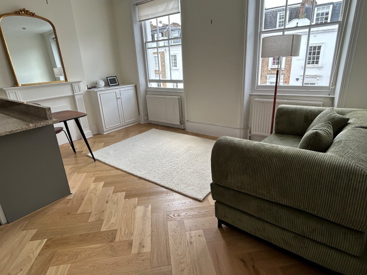 Victorian Flat Central London - London