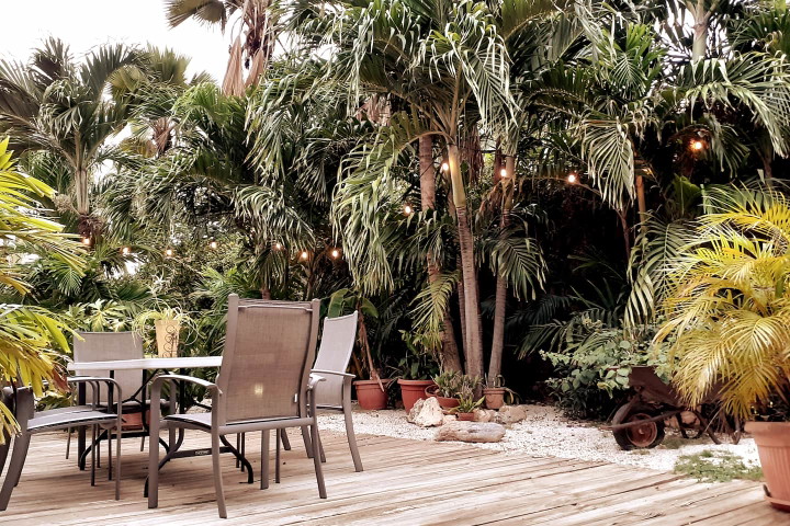 Sandra's Palm Garden - Aruba