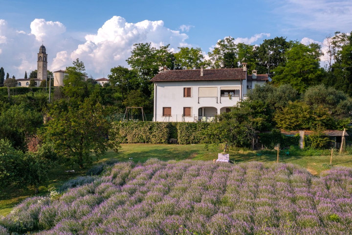 The Lavender House Between Venice And Cortina - Conegliano