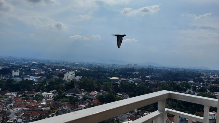 Pares Apt 2br Unit 2 By Erje - Bandung