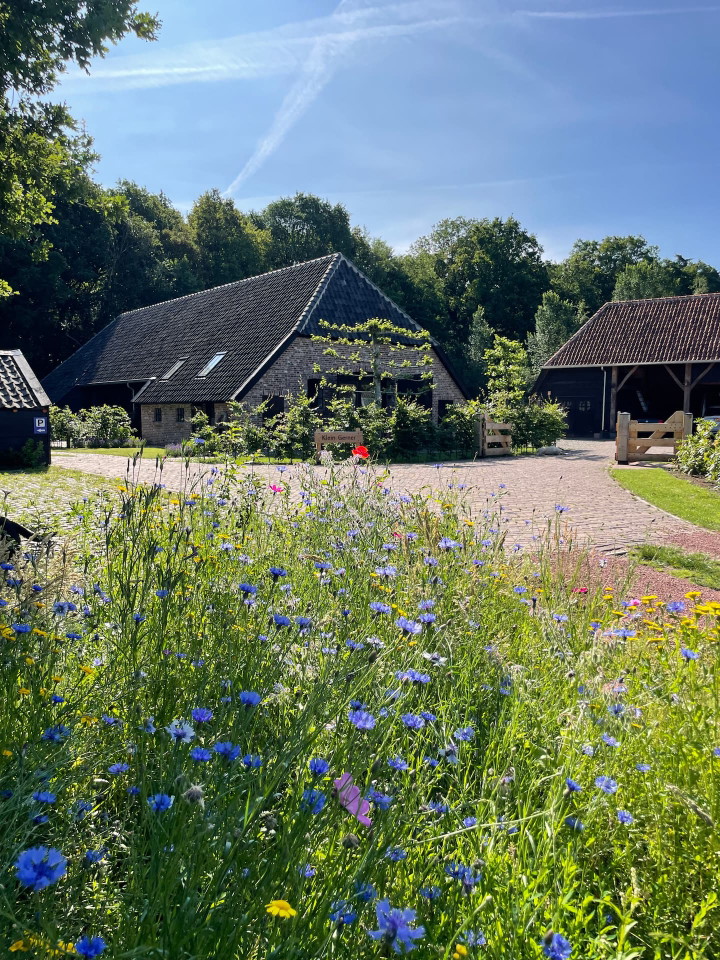 Klein Gerner (Authentiek Huisje) - Dalfsen