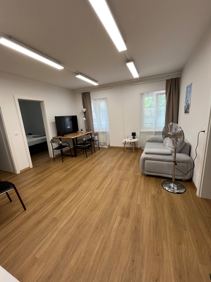 Grand Boutique Apartment - Luzern