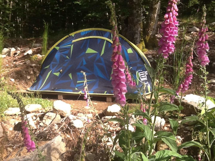 Camping Dans La Foret De Vizzavona - Corsica