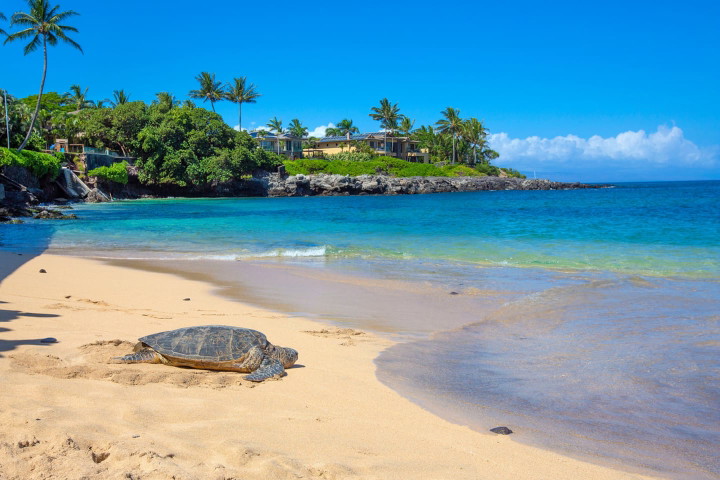 West Maui, Kahana Sunset, Ocean View With Ac, Private Beach - Maui, HI