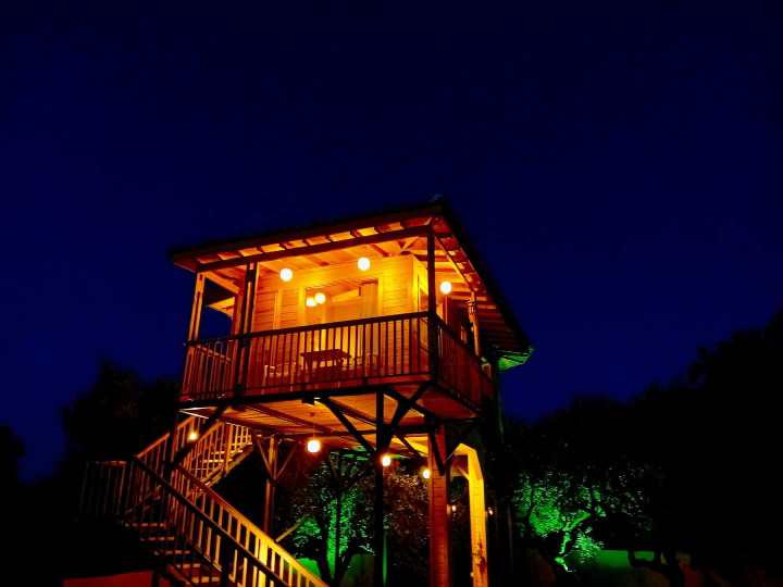 Magic Treehouse - Grèce