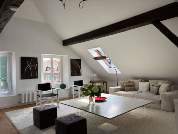 Duplex Au Bord Du Lac Léman - Nyon