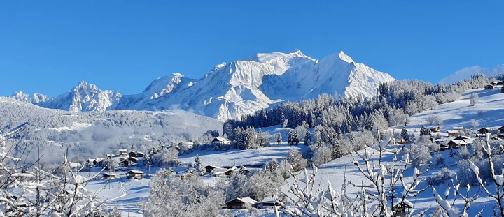 Appartement Dans Chalet Montagne Face Mont Blanc - Combloux