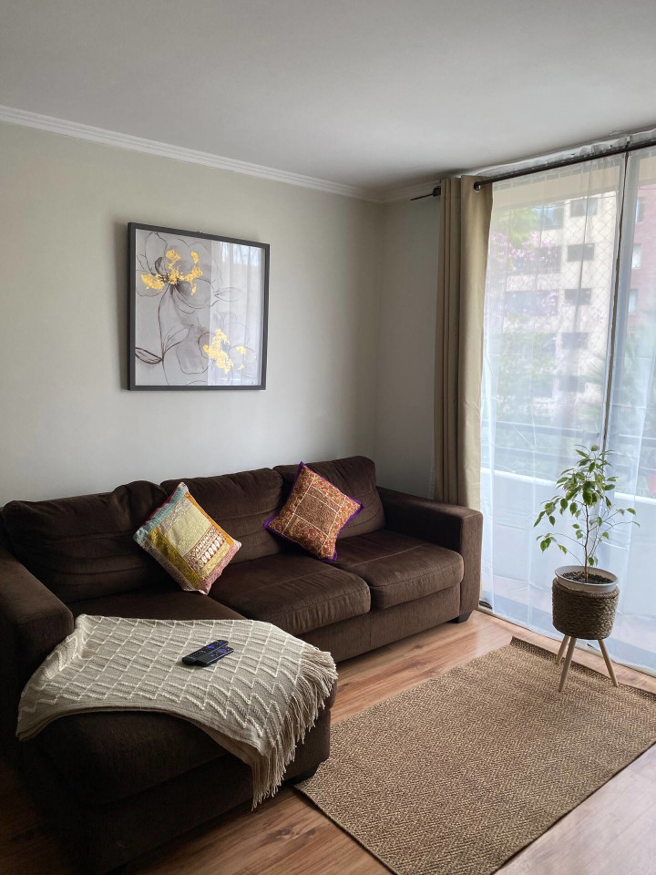 Apartment In Plaza Italia - Santiago, Şili