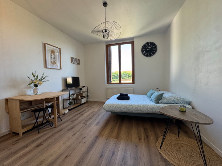 *The Lodge* 5 Min Walk Groupama Stadium Ldlc Arena - Bron