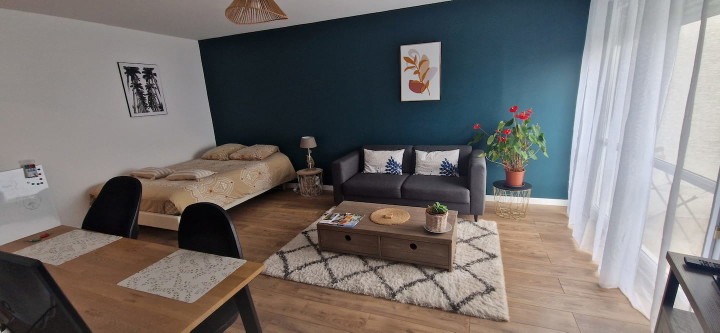 Close To Universities And Trams, Spacious And Quiet - Angers
