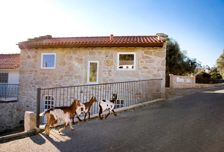 Tio Zé - Maisons De Selim - Arcos de Valdevez